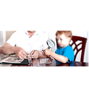 Set of 4 Blue Ike Silver Dollars 1971-1974