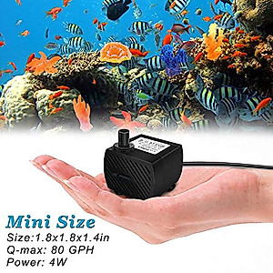 DOMICA (80GPH 4W) Mini Submersible Water Pump for Pond, Aquariums, Fish Tank, Hydroponics, Tabletop Fountain, Pet Fountain, Indoor or Outdoor Fountain Pump