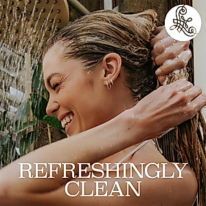 Luseta Tea Tree Shampoo with Argan Oil 16.9 Fl oz- Clarifying,Hydrating and Fighting Dandruff and Itchy Scalp - For Damaged and Oil Hair - Sulfate and Paraben Free for Men and Women