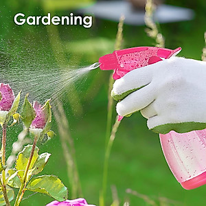 DilaBee Plastic Spray Bottles - 12oz (3 Pack) Water Spray Bottle for Hair, Gardening, Grilling & Cleaning Solution - Empty Spray Bottles for Cat - Small Spray Bottle