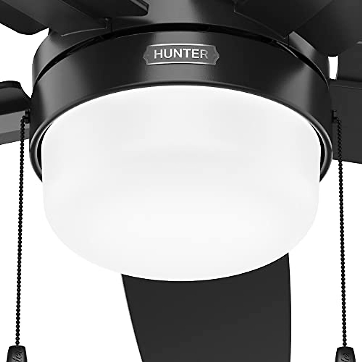 Hunter Fan Company 52486 Anisten Ceiling Fan, Matte Black