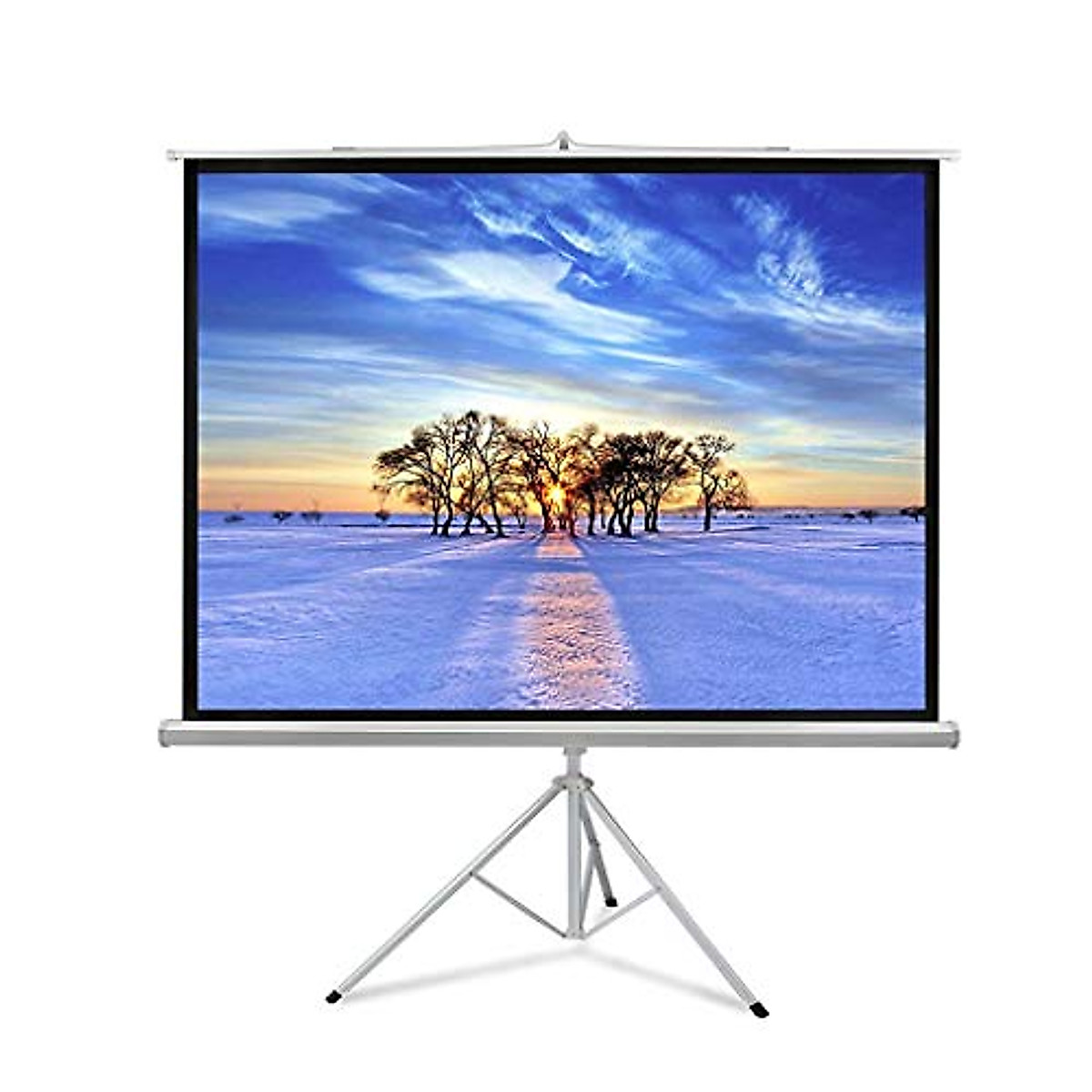 XXXDXDP 60-100 Inch 16:9 Portable Indoor Outdoor Projector Screen Matte White Fabric Fiber Screen with Pull Up Foldable Stand Tripod ( Size : 100 inch )
