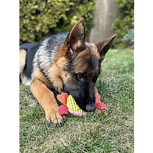 Zoom and Chew Dog Toys, Dog Plush Toy for Large Breed,Tug of war, Squeaky Dog Toys with Crinkle Paper, Dog Chew Toys for Puppy, Small, Medium, Large Dogs (Crab)