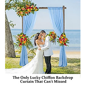 Chiffon Backdrop Curtain 10FT Long Baby Blue Chiffon Fabric Drapes for Wedding Ceremony Sheer Curtains 2 Panels 29''x120'' Photography Backdrop Drapes Sky Blue Polyester Chiffon Backdrop