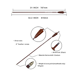 PANDARUS Archery 31-Inch Carbon Hunting Arrows, 4-Inch Turkey Feather Fletching with Replaceable Points, Targeting Practice Arrows Spine 500 for Recurve & Traditional Bows (12 Pack)