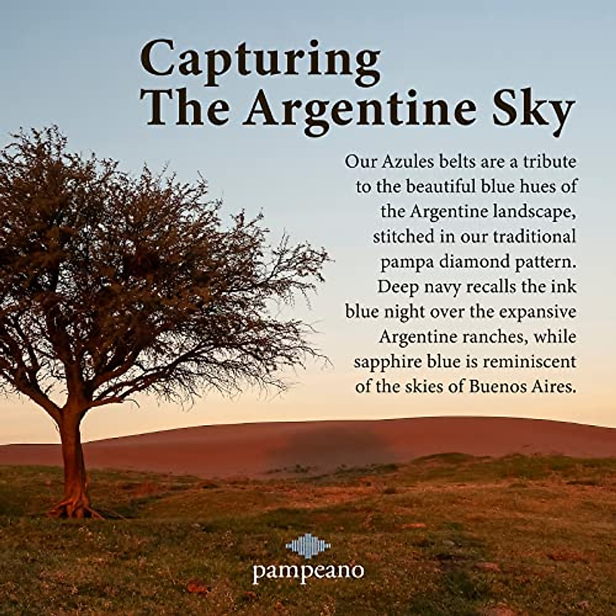 Pampeano Azules Polo Belt | Handmade by Master Artisans | Gift Boxed Argentine Gaucho Belts for Men & Women | Hand Stitched Argentinian Leather | Ideal for Valentines, Father’s Day, Anniversaries