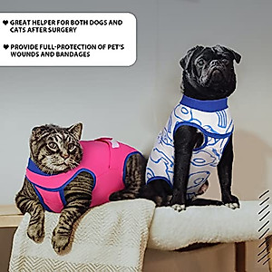 Queenmore Recovery Suit for Dogs Cats After Surgery,Dog Surgical Recovery Suit Onesie,Anti Licking Pet Female Spayed Neutered Puppy Surgical Clothes for Abdominal Wounds, Substitute E-Collar & Cone