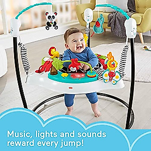 Fisher-Price Baby Bouncer Animal Wonders Jumperoo Activity Center With Music Lights Sounds And Developmental Toys