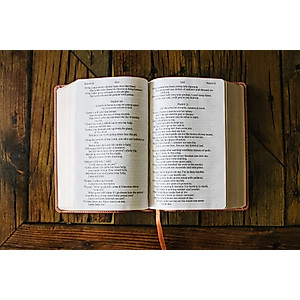 NIrV, Giant Print Compact Bible, Leathersoft, Brown, Comfort Print