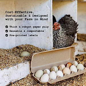 Hatortempt 24 Pack Bulk Egg Cartons, 12 Count Reusable Recycled Paper Pulp Cartons for Small to XL Eggs