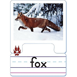 Key Education Big Box of Easy-To-Read Words Puzzles, Sight Words and Phonics Practice With Word and Photo Puzzle Pieces, Educational Games for Special Learners Ages 5+ (250 pc) , 1.5" x 2" - 2" x 2"