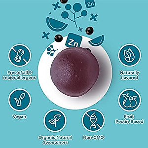 Hyland's Naturals Kids Organic Elderberry Plus Gummies, Organic Black Elderberry with ZINC and Vitamin C, Immune Support for Children, 48 Vegan Gummies (2 Pack)