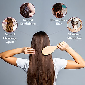 mi nature Aritha (Sapindus Laurifolia) Powder/Soap Nut Powder - USDA NOP Certified Organic Hair Conditioner for Silky Hair from India (227g / 1/2 lb)