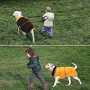 DENTERUN Winter Warm Dog Jacket Reflective Reversible Windproof Cozy Cold Weather Puppy Coat Water Repellent Vest Thick Fleece Apparel with Harness/Leash Hole for Outdoor Small Medium Large Dogs