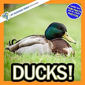 Ducks!: A My Incredible World Picture Book for Children (My Incredible World: Nature and Animal Picture Books for Children)