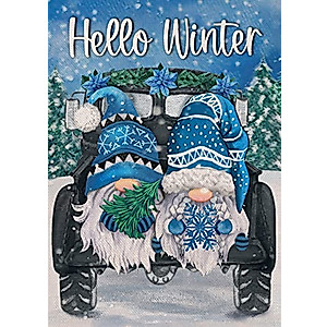 Covido Home Decorative Hello Winter Blue Gnome Garden Flag, Black Truck Yard Outside Decorations, Pickup Outdoor Small Decor Double Sided 12x18