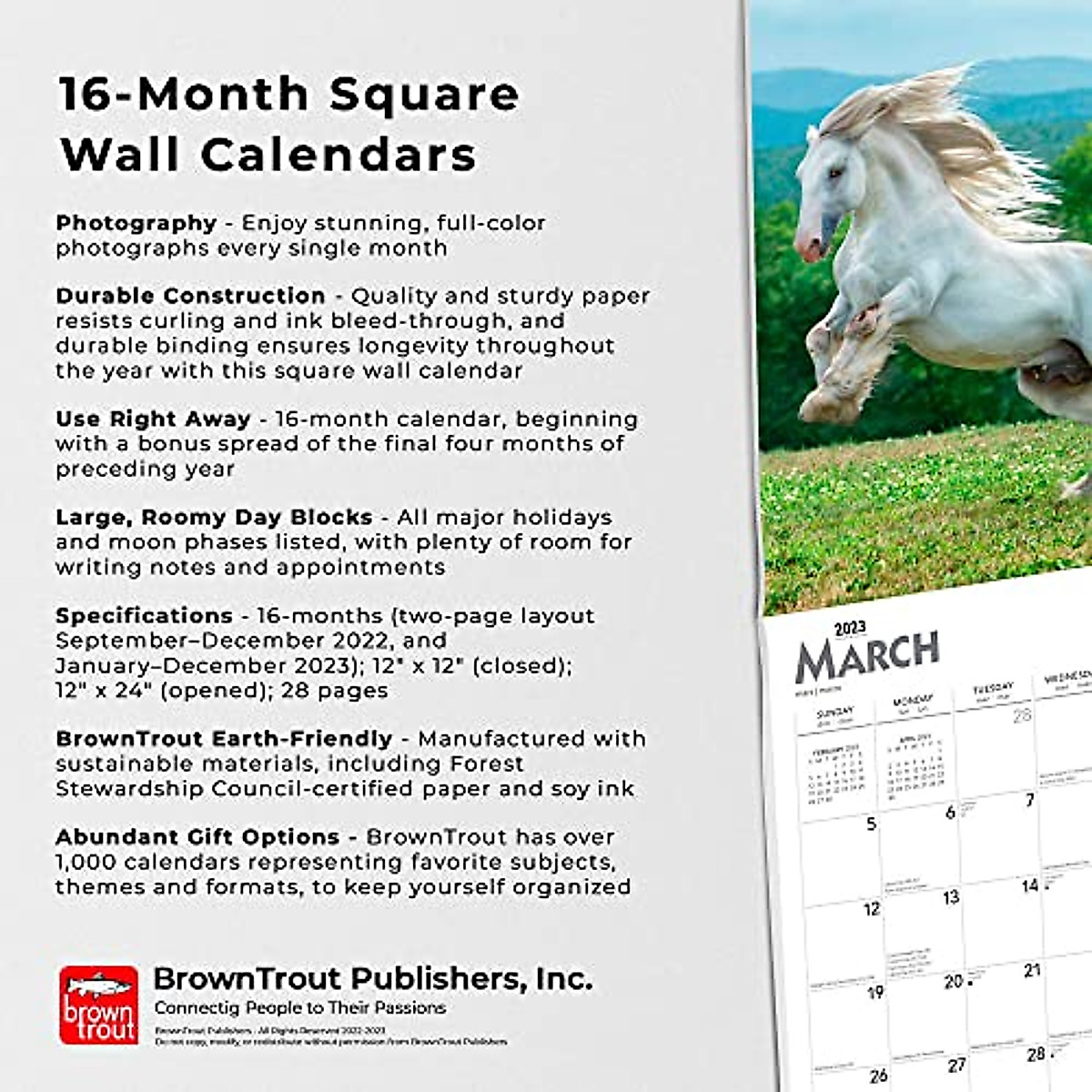 Horse Lovers | 2023 12 x 24 Inch Monthly Square Wall Calendar | Foil Stamped Cover | BrownTrout | Animals Equestrian