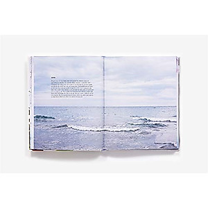 Make Ink: A Forager’s Guide to Natural Inkmaking