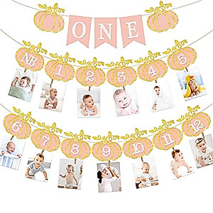 Pumpkin First Birthday Girl 12 Month Photo Banner for First Birthday Our Little Pumpkin is Turning One Decorations Pumpkin Birthday Decorations Girl