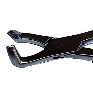 19" Equine Stable Fragment Forceps, with Pouch, Stainless Steel Equine Dental