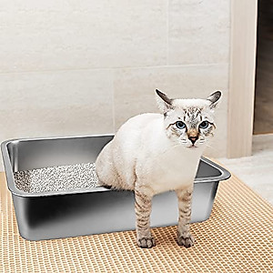Stainless Steel Cats Litter Box, 4" Height Litter Box for Small Animals, Easy Entry, Easy to Clean, Non Stick Smooth Surface