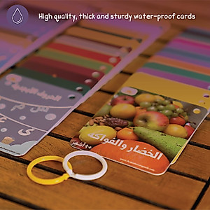 Zedne Arabic Alphabet Flash Cards - 48 Pcs Double-Sided Flashcards (96 Images) with Rings Educational Learning Toys for kids Birthday Preschool Gifts (Alphabet, Numbers, Animals, Fruit)