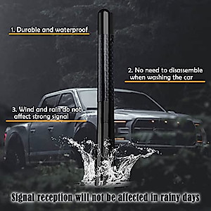 Antenna for Truck,Carbon Fiber Polished Finish Car Radio Antenna 4.72 Inch Antenna Toppers AM/FM Radio,Compatible for Car and Truck Vehicle Replacement Antenna Accessories (Double Blade Skull)