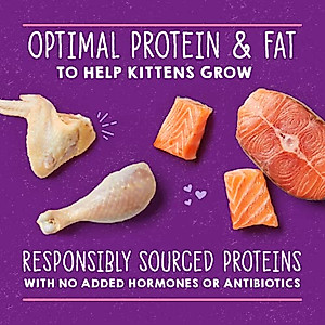 Stella & Chewy’s Carnivore Cravings Purrfect Pate Cans – Grain Free, Protein Rich Wet Cat Food – Cage-Free Chicken & Salmon Kitten Recipe – (2.8 Ounce Cans, Case of 24)