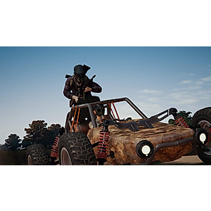 PLAYERUNKNOWN'S BATTLEGROUNDS (PS4) (Renewed)