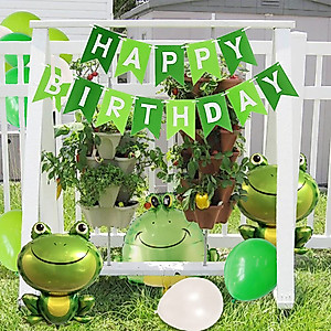 LaVenty Frog Birthday Decoration Frog Balloon Frog Birthday Party Supplies Reptile Birthday Party Decorations Frog Princess Party Decoration Garden Birthday Decoration