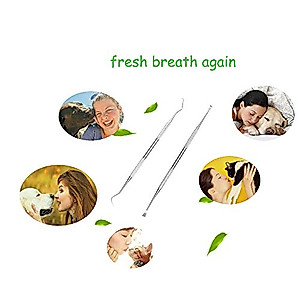 wzhe Dog Tooth Scaler and Scraper - 2 Pack Upgrade Pet Tarter Remover with Different Angles Double Head, Stainless Steel Teeth Cleaning Tools for Dogs