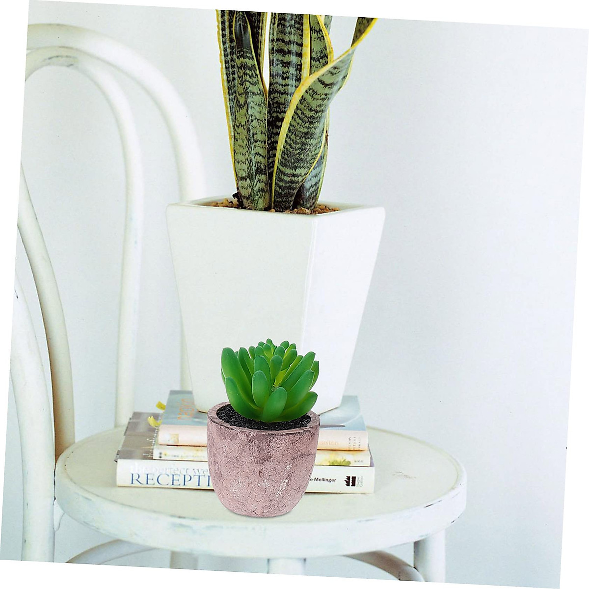 WOONEKY 1 Set 3 Pcs Succulent Bonsai Faux Succulents Potted Plastic Succulents Plants Various Faux Succulents Home Decor Artificial Plant Fake Succulent Mini False Cactus Pulp Basin Office