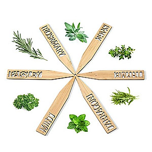 Boldernest Bamboo Herb Garden Markers - Set of 12 Beautiful Herb Garden Labels - Sturdy Herb Markers for Outdoor Garden or Potted Herbs - Lovely Herb Garden Signs