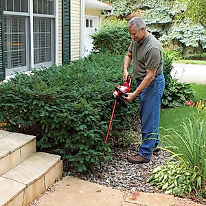 Toro 51494 Cordless 22-Inch 20-Volt Lithium-Ion Hedge Trimmer