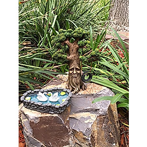 GlitZGlam Swan Miniature Pond - Love is in The air! A Miniature Swan Lake for a Miniature Fairy Garden and Miniature Garden Accessories