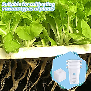 50 Sets of Hydroponic Garden Growing System Accessories Includes 50 Planting Baskets 50 Plant Growth Sponges Compatible with Most Hydroponic Garden Planting Systems