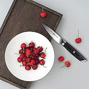 TUO Fruit Paring Knife, Peeling Knife 3.5 inch - German HC Steel - Full Tang Pakkawood Handle - Falcon Series with Gift Box