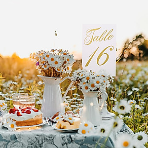 Generic Wedding Table Numbers 1-20| Gold Table Numbers for Party, Centerpiece, Wedding Reception, Birthday, Anniversry - Elegant Seating Chart Display Cards for Table Number Holders