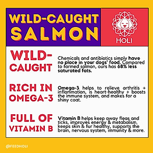 HOLI Freeze Dried Salmon Dog Food Topper - with Omega 3 & 6 - Single Ingredient, Human-Grade Wild Caught Salmon - Dog Food Flavor Enhancer for Picky Dogs – 100% All Natural - 1.5oz