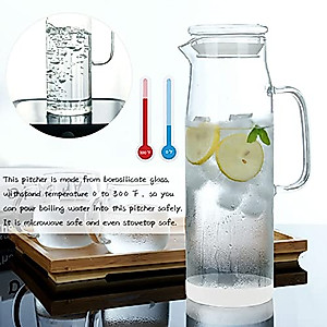 Glass Pitcher with Lid Water Carefe with Handle for Hot/Cold Beverages- Water, Cold Brew, Iced Tea & Juice, 1 Free Silicone Mat Inclued
