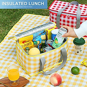 Insulated Picnic Bag Reusable,Beach Bag Cooler Bags, Cooler Bags with Zippered Top - Insulated Bag for Hot or Cold,Picnic,Beach,Food Delivery, Outdoor (13.8x7.9x7.9 in) (Red)