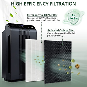 116130 HEPA Replacement Filter H 116130 for Winix 5500-2 Plasmawave Air Purifier and Models AM80 - HEPA Filter and Activated Carbon Filter Combo Pack