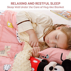 Sivio Weighted Blanket,Cotton and Minky Fleece Throw Blanket with Beads, Reversible Heavy Blanket, 3lbs 36x48 Inch, Pink Cat