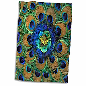 3D Rose Natural Peacock Feather Patterns-As10 Dfr0096-David R. Frazier Hand/Sports Towel, 15 x 22