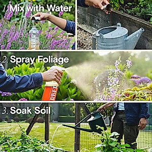 Arber Organic Liquid Concentrate for Indoor and House Plants | Natural Gardening (Organic Fungicide)