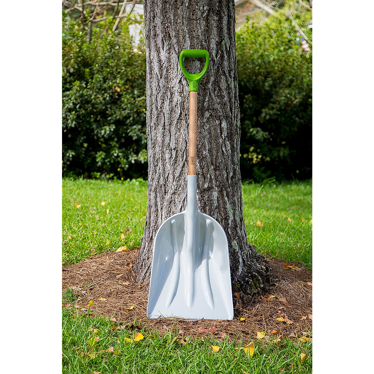 AMES 2682700 Poly Scoop with Hardwood Handle and D-Grip, 46-Inch