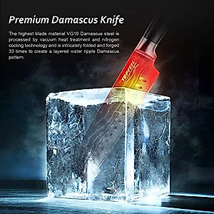 Damascus Santoku Knife 7 Inch, VG-10 67 Layer Damascus Steel Japanese Knife, Razor Sharp Kitchen Knife with Solid G10 Handle, Professional Cooking Knife with Gift Box