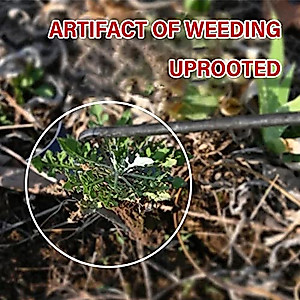 Amposei Weeding Artifact Uprooting Weeding Tool, Multifunctional Weeder, Hand Weeder Tool, 4 Teeth Stand Up Weed Puller Tool with Handle for Garden Yard Farm Weed Removal (20in, Metal Handle)