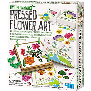 4M Green Creativity Pressed Flower Art Kit, Recycle Flowers Art & Crafts DIY Kit, For Boys & Girls Ages 5+