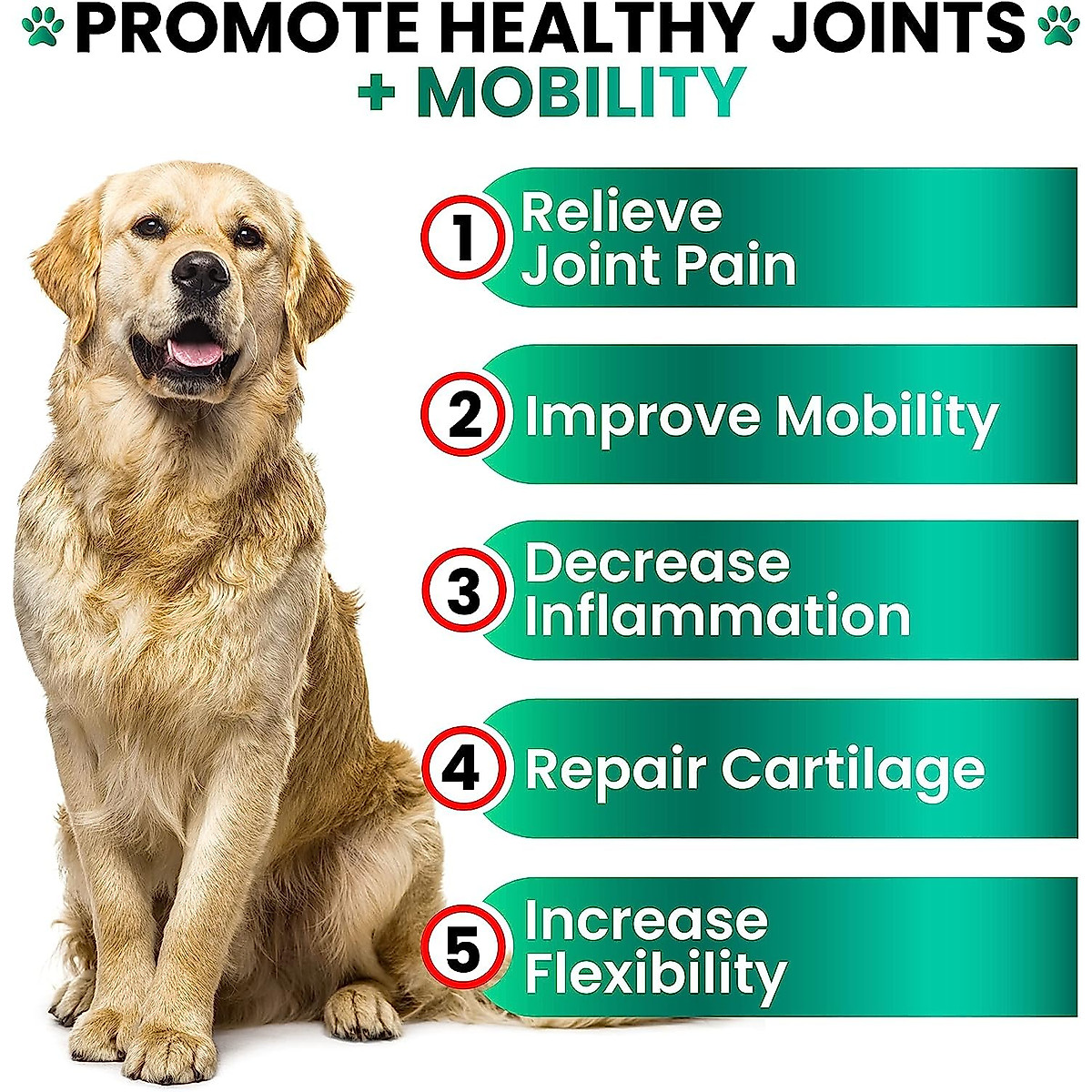 (2 Pack) Hemp Hip and Joint Supplement for Dogs - Glucosamine for Dogs - 340 Dog Joint Pain Relief Treats - Chondroitin, MSM, Hemp Oil - Advanced Dog Joint Supplement Health - Mobility Support Chews